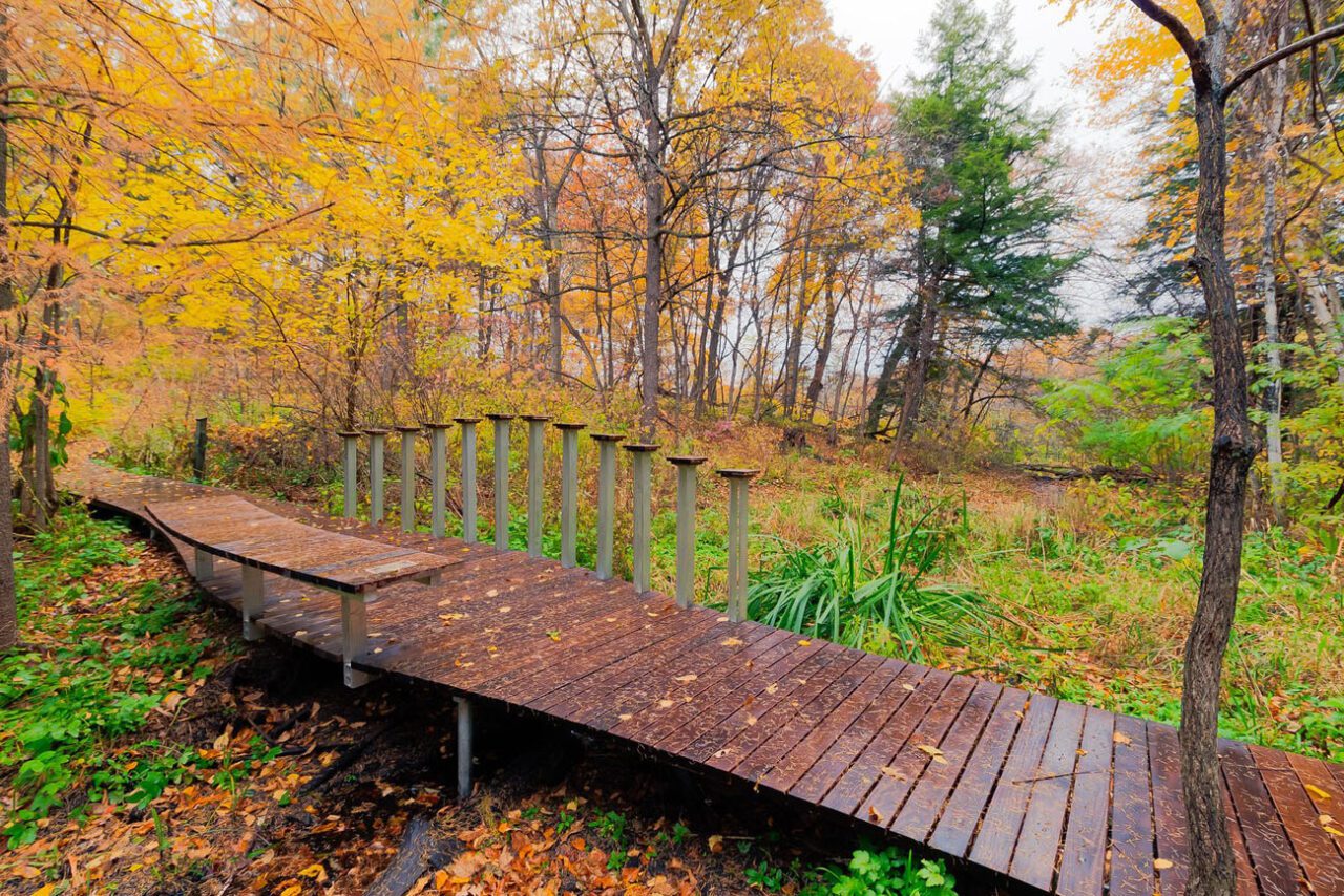 Arbor Wood - Northern Ohio